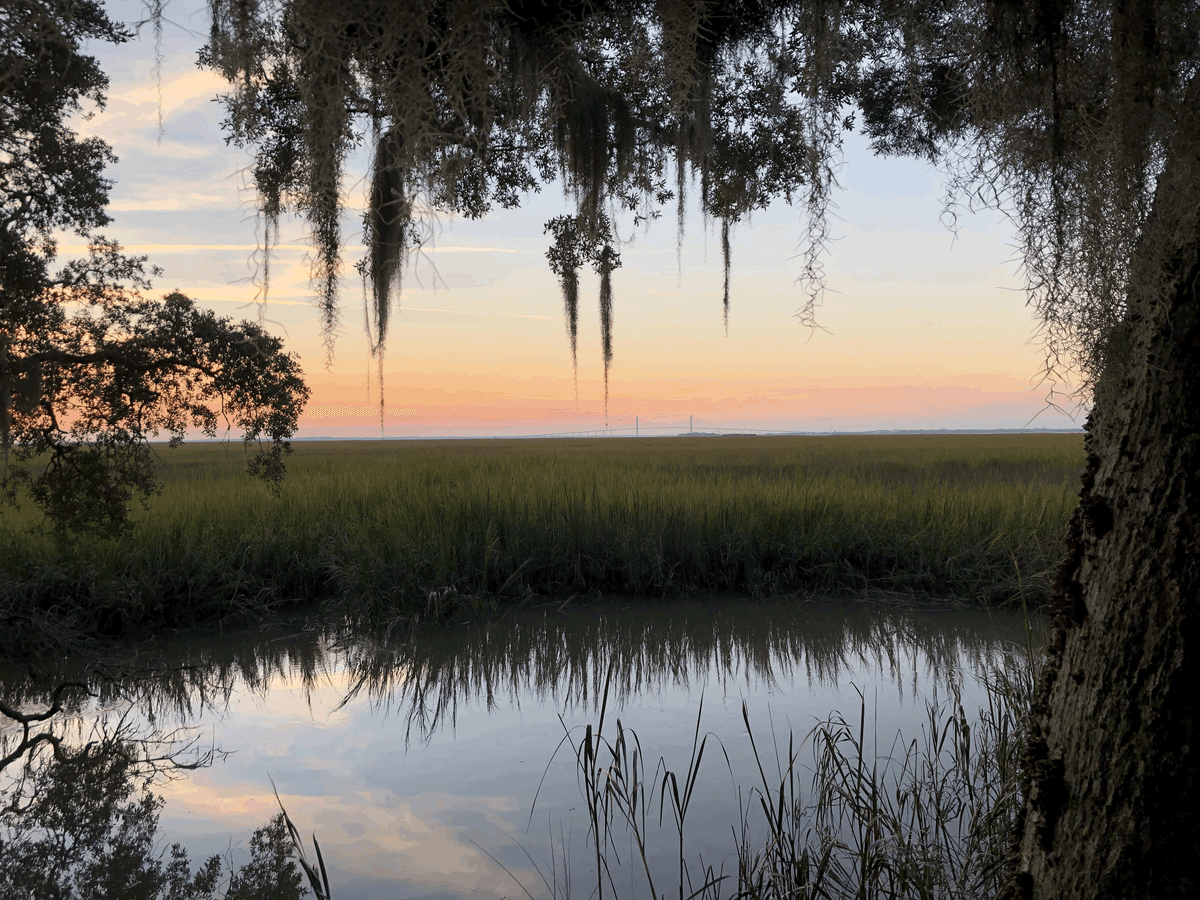 Lowcountry Camping Along the South Carolina and Georgia Coast, part 2